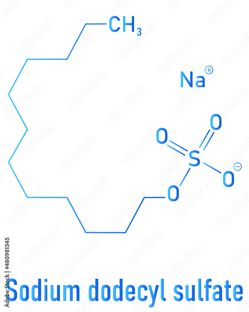 Sodium dodecyl sulfate or SDS, sodium lauryl sulfate, surfactant ...