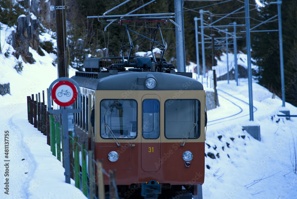 Train of Lauterbrunnen Mürren Mountain Railway LMB between station ...