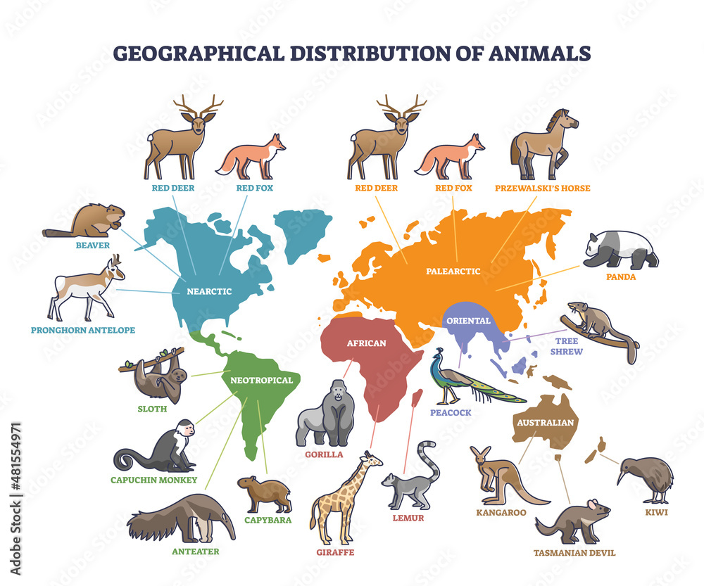 Geographical distribution of wild animals on world map outline concept ...
