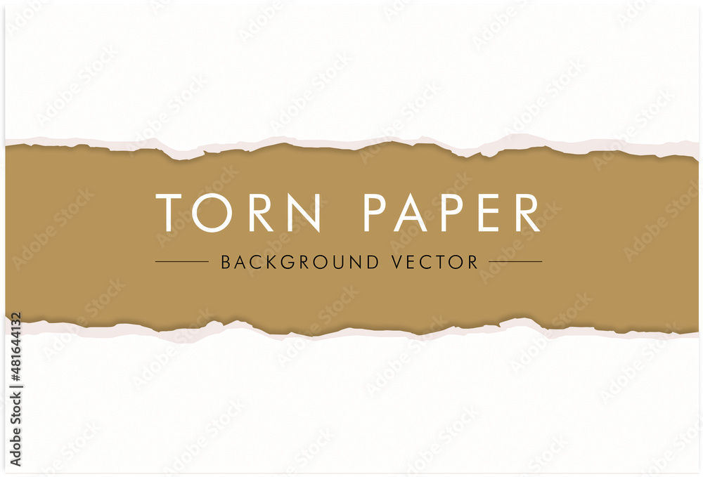 Two types of paper backgrounds Stock Vector | Adobe Stock
