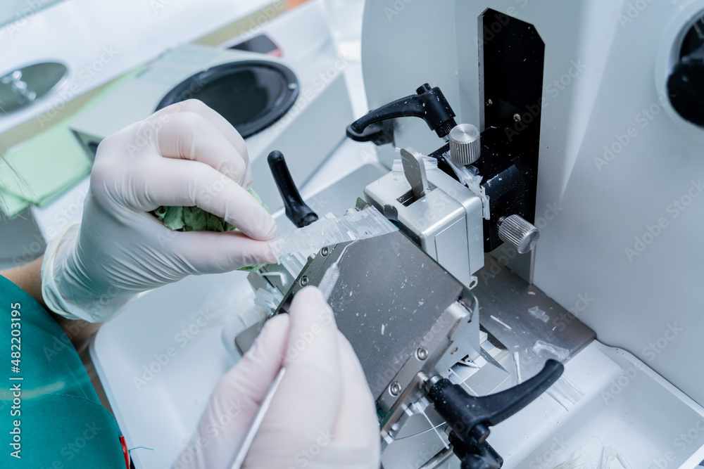 Laboratory Assistant Works On A Rotary Microtome Section And Making Microscope Slides Stock
