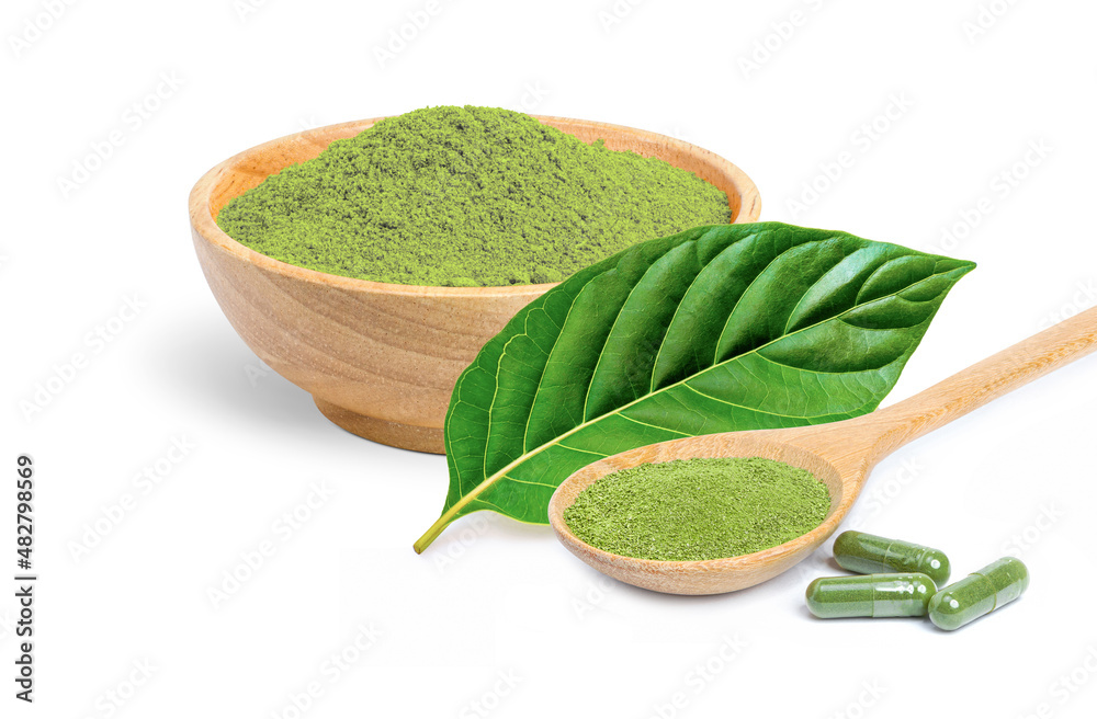 Fresh green Kratom leaves (Mitragyna speciosa) with kratom powder herbal capsule isolated on ...