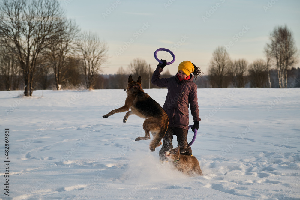 Happy European girl on walk in winter park playing with dog. German ...