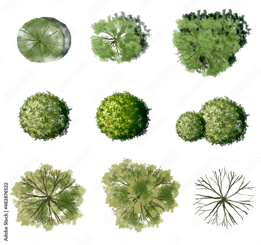 Collection of watercolor green tree top view isolated on white background for landscape and ...