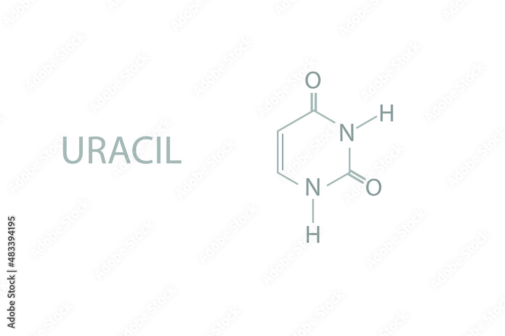 Uracil molecular skeletal chemical formula. Stock Vector | Adobe Stock
