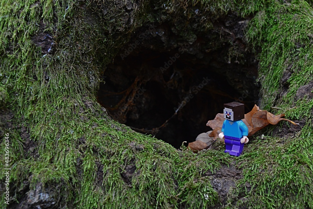 LEGO Minecraft figure of Steve walking out of large hole in bottom of ...