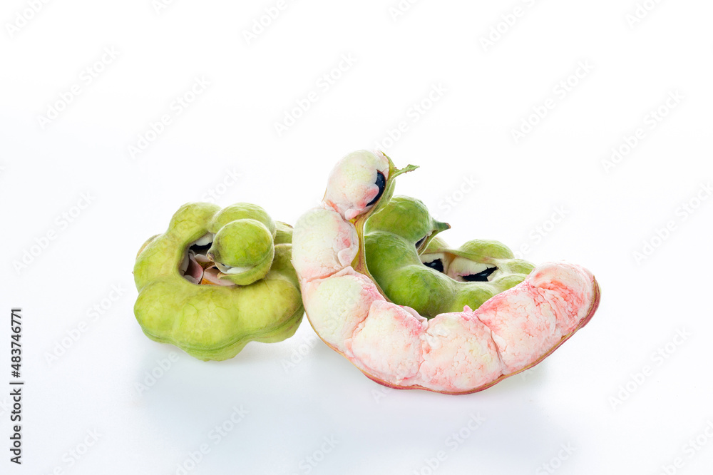 Manila tamarind fruit. Manila tamarind (Pithecellobium dulce) on white ...