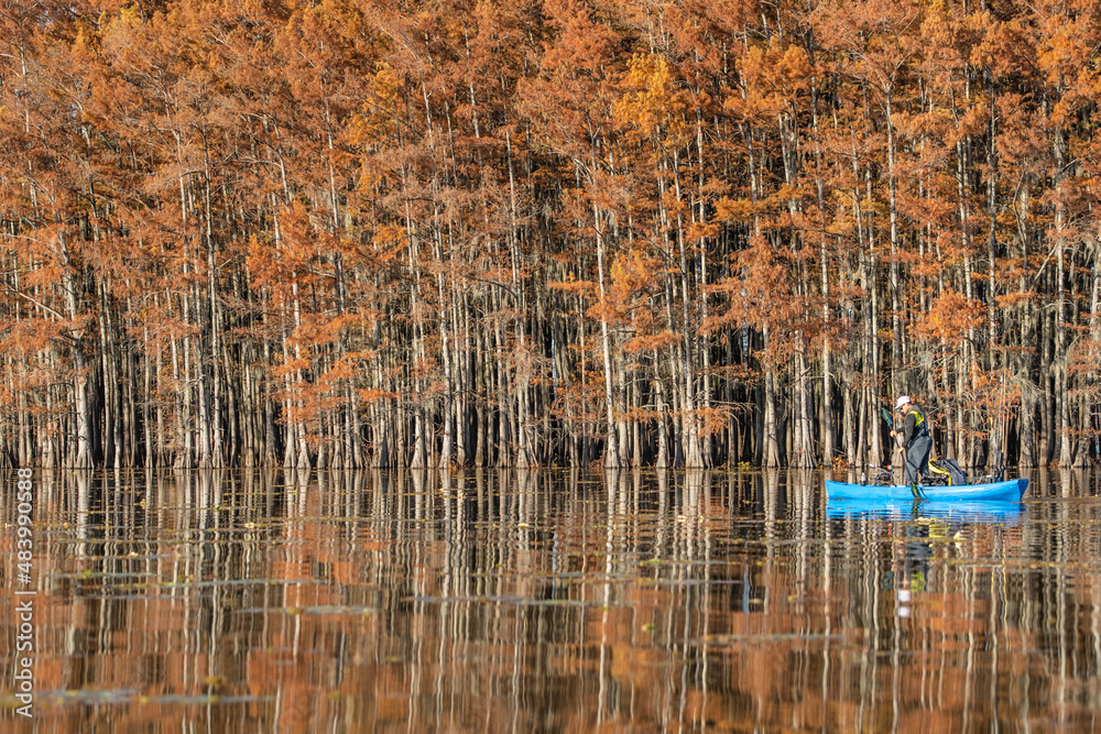 man standing and paddling kayak in fall cypress Stock Photo | Adobe Stock
