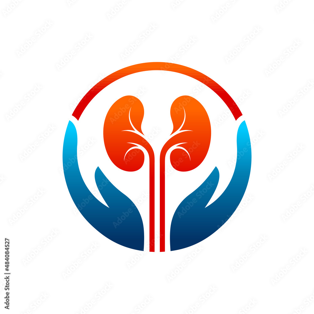 kidney logo with hand concept Stock Vector | Adobe Stock