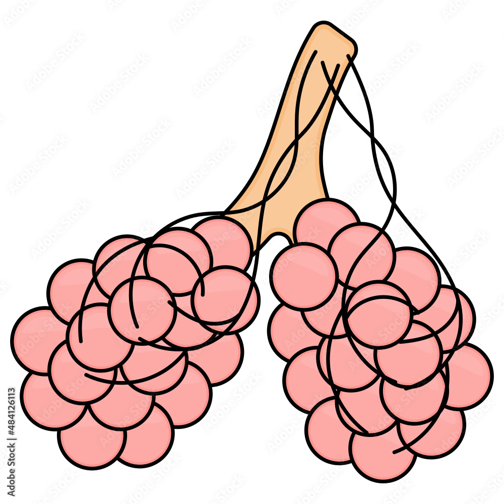 Pulmonary Veins Vector color Icon Design, Organ System Symbol, Human ...