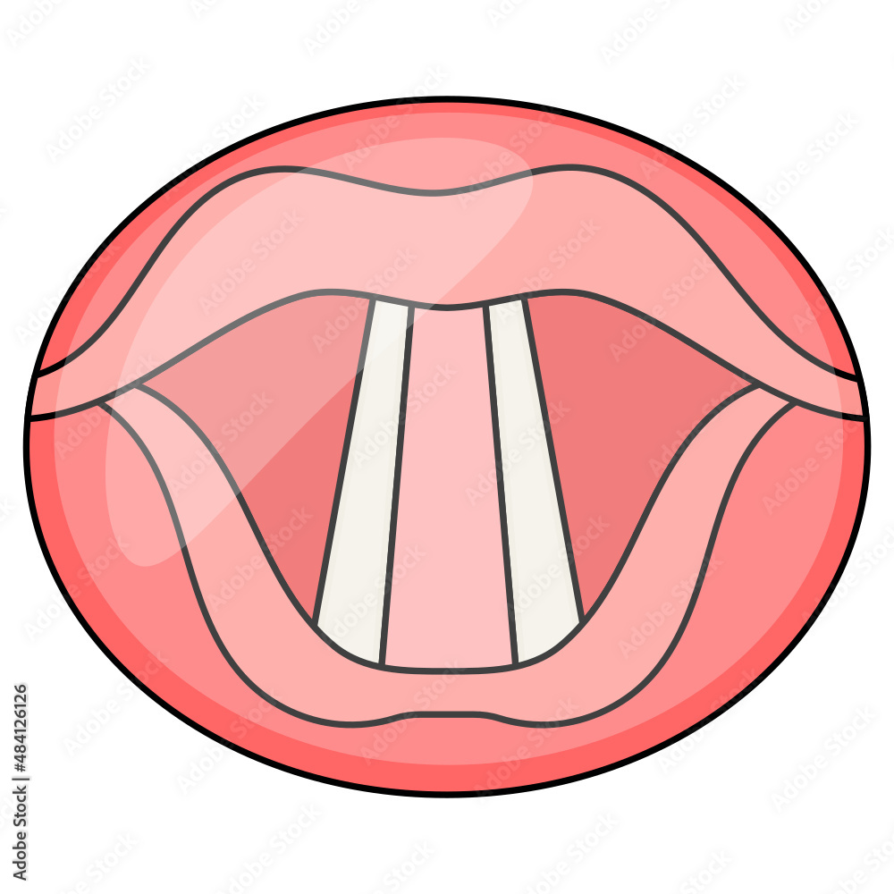 Opened Throat and Mouth Concept, oral examination Vector color Icon ...