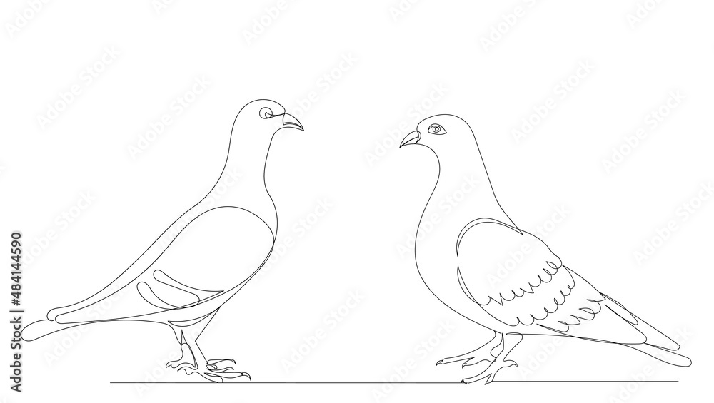 pigeons one line drawing ,vector, isolated Stock Vector | Adobe Stock