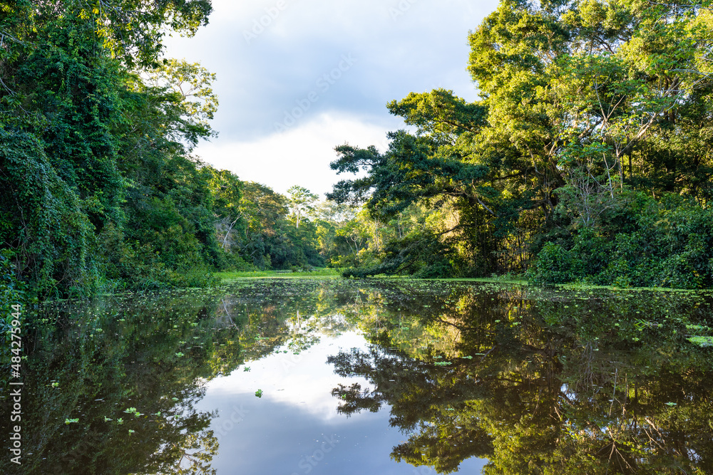 Reflection on the river, At the community of Gamboa next to the amazon ...
