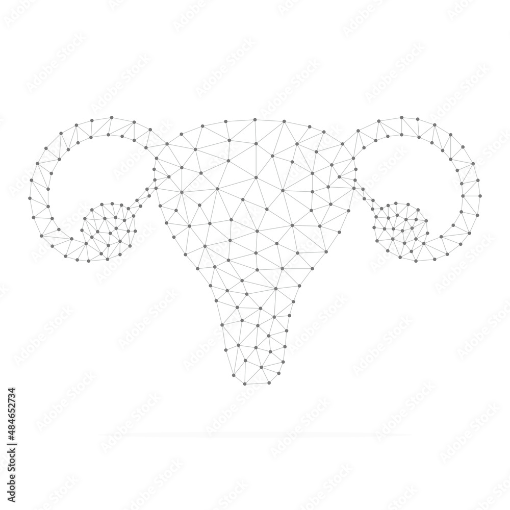 Female reproductive system with low poly black connected dots. Internal ...