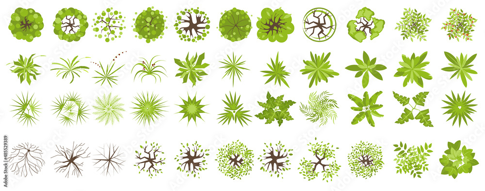 Trees and plants top view. Icon set of colored trees and grass for ...