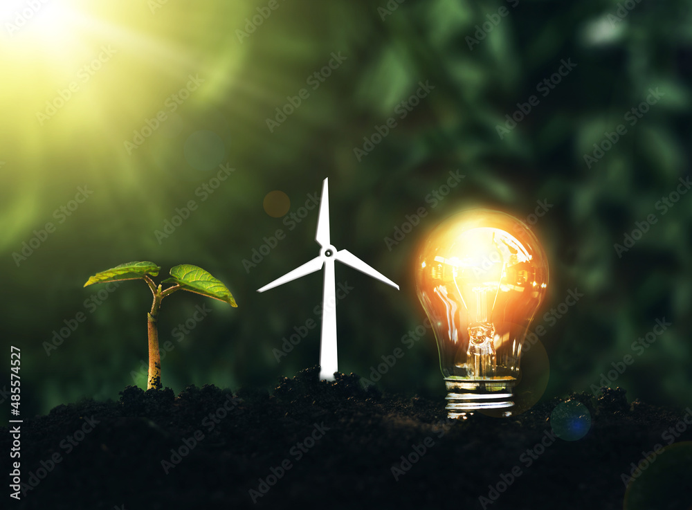 Light bulb is located on the soil, and plant are growing with wind ...