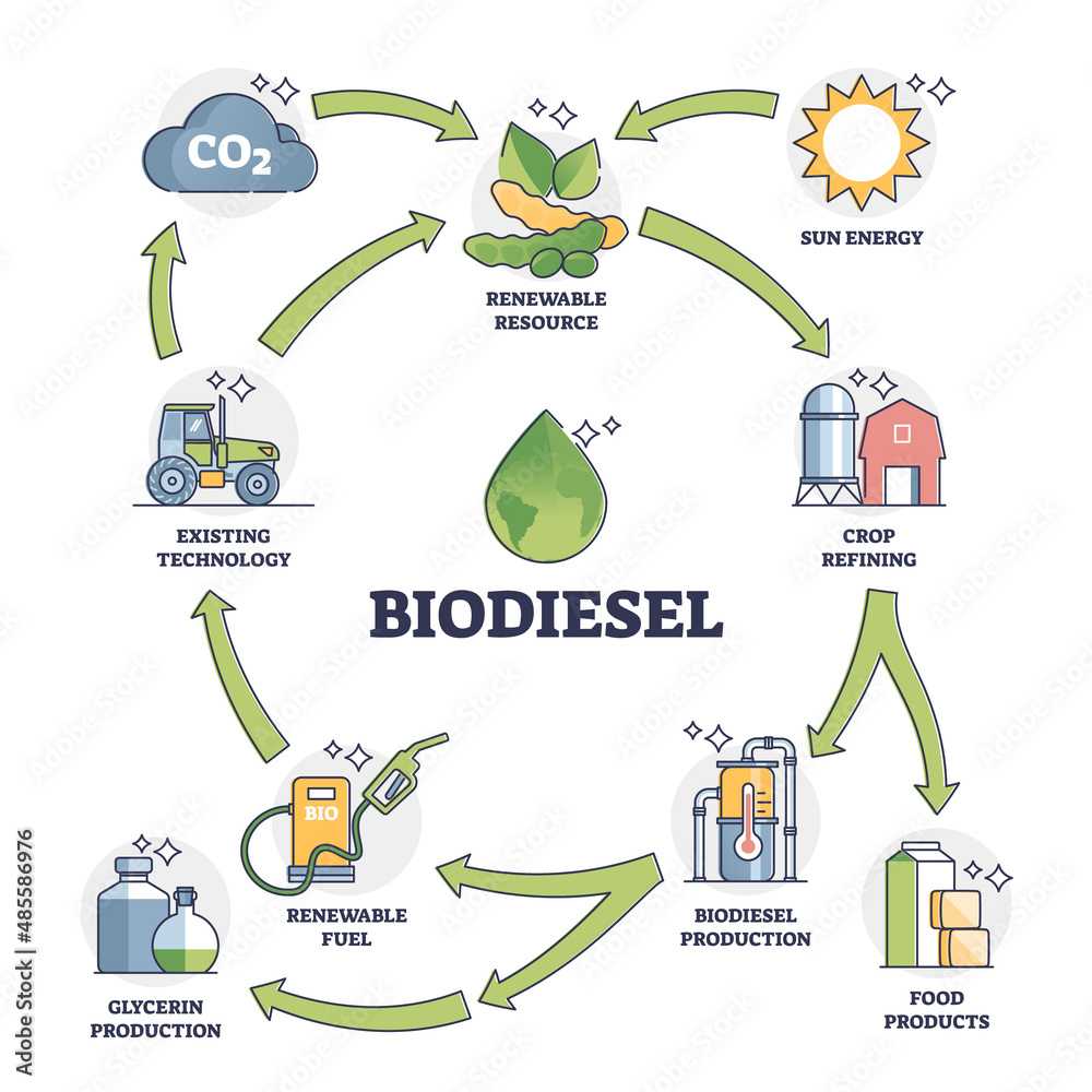 Image vectorielle Stock Biodiesel fuel life cycle explanation with all ...
