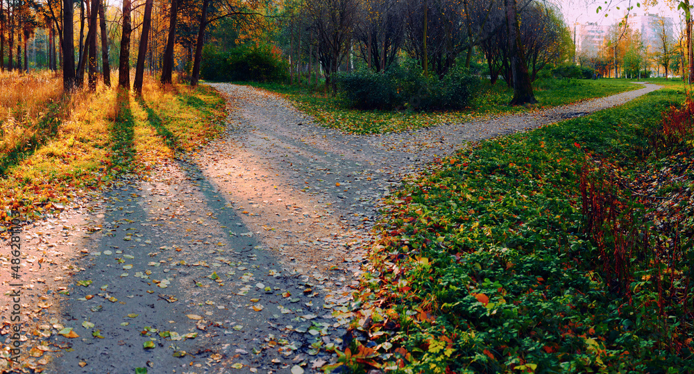 A wide path in the rays of the setting sun on the outskirts of the park ...