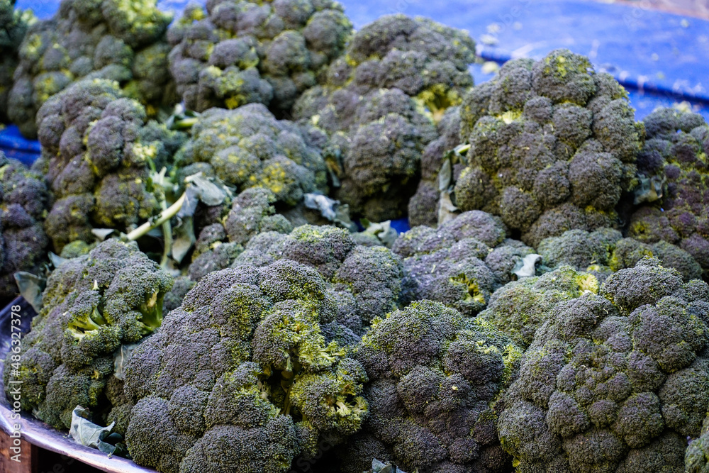 Fresh organic broccoli stack on the market stall. Healthy green ...