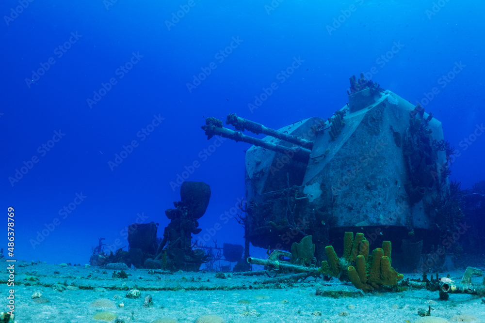 Stern guns from the sunken wreck of the Russian frigate in Cayman Brac ...