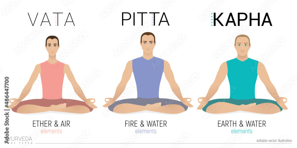 Vata, pitta, and kapha doshas. Ectomorph, mesomorph and endomorph ...