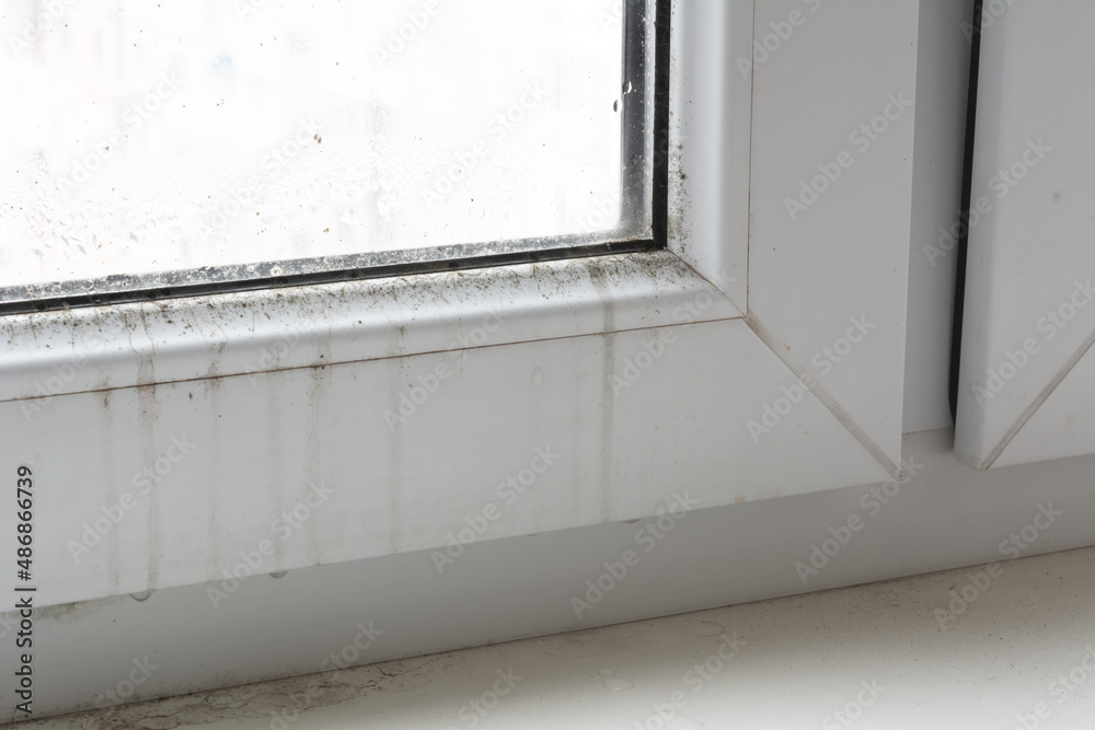 Poor quality windows. Due to poor ventilation, poor-quality ...