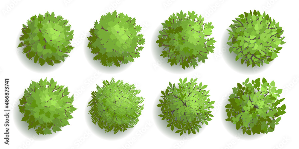Trees top view. Different plants and trees vector set for architectural ...