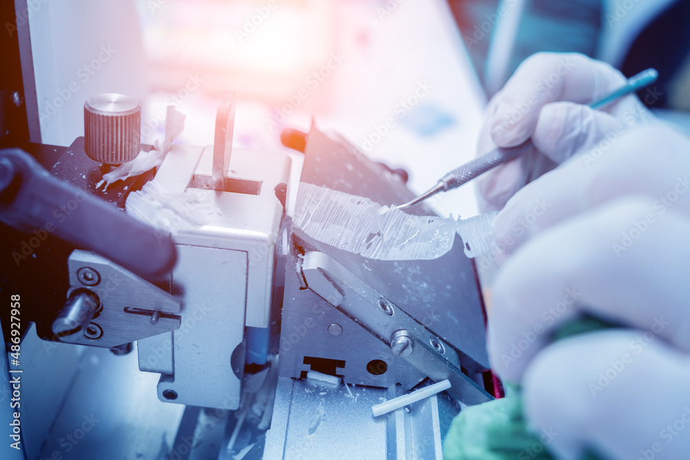 Laboratory Assistant Works On A Rotary Microtome Section And Making Microscope Slides Stock