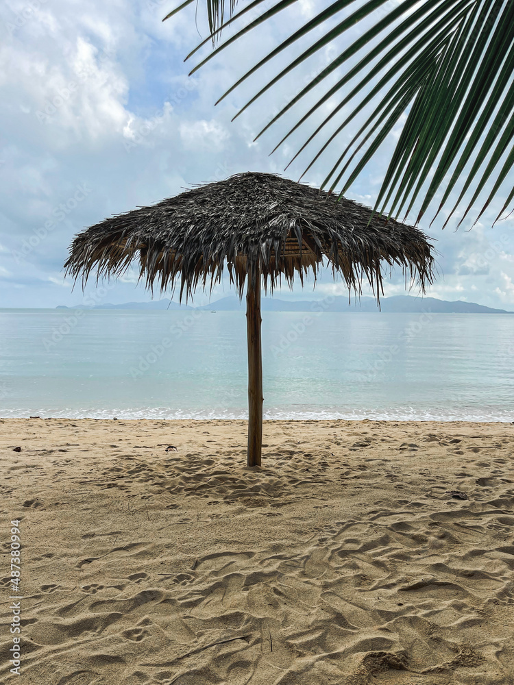 Beach umbrellas made from natural materials by the sea including a palm ...