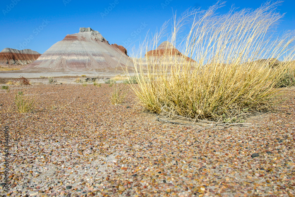 Desert Pavement on an Arizona Desert Created by Deposition and ...