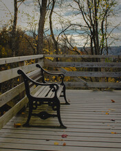 When You Ride Alone Free Stock Photo - Public Domain Pictures