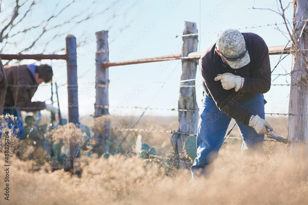 Rancher and young cowboy fixing barbed wire fence to keep livestock ...