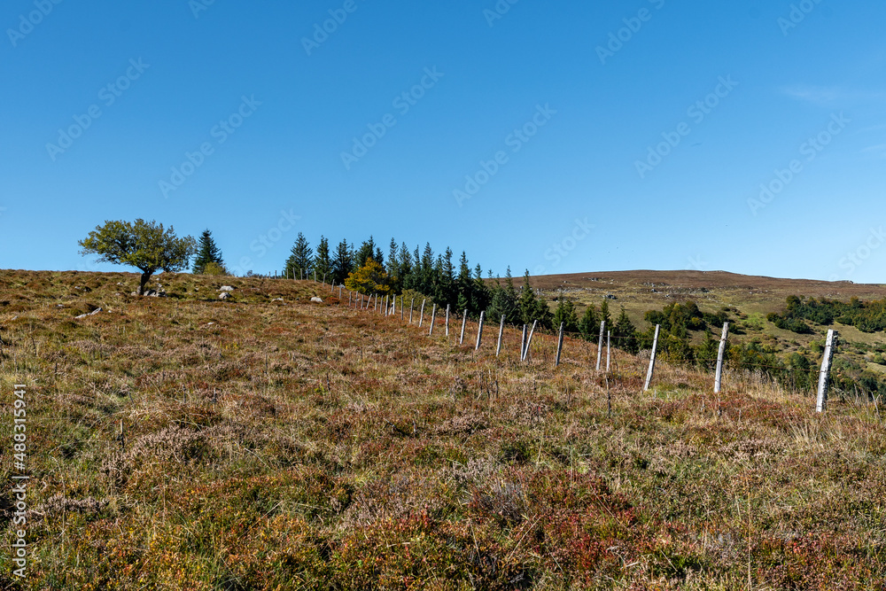 Chemin de randonnée sur le parcours du signal du Luguet avec des forêts ...