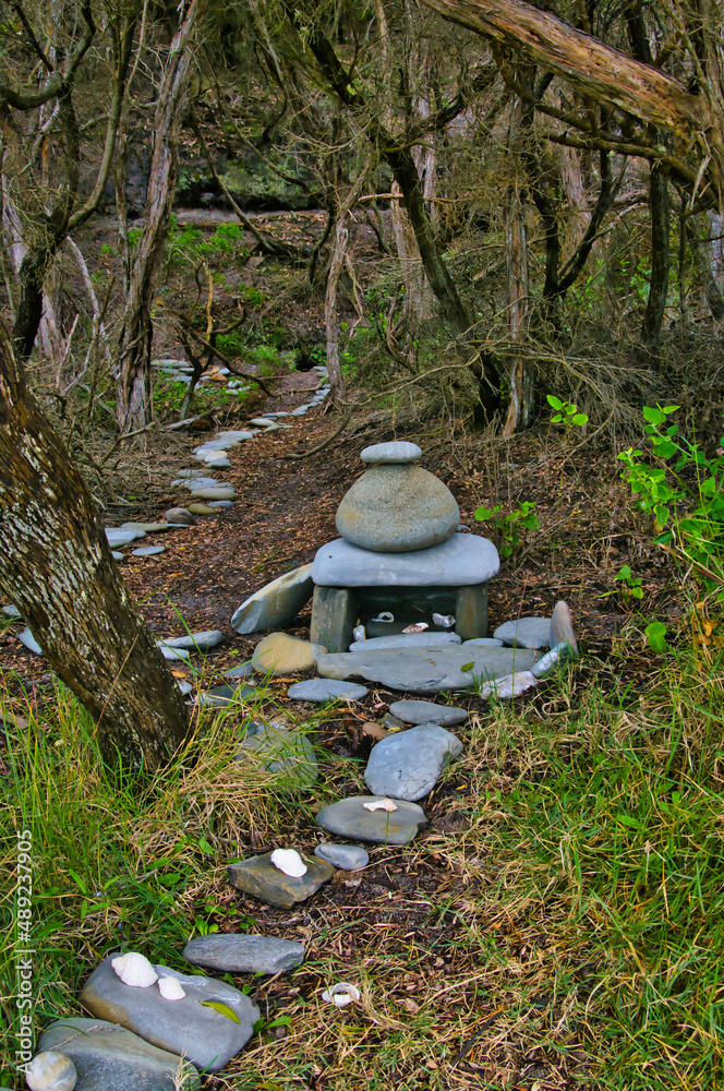 Magic trail through the woods. Zen-inspired trail, made of flat river ...