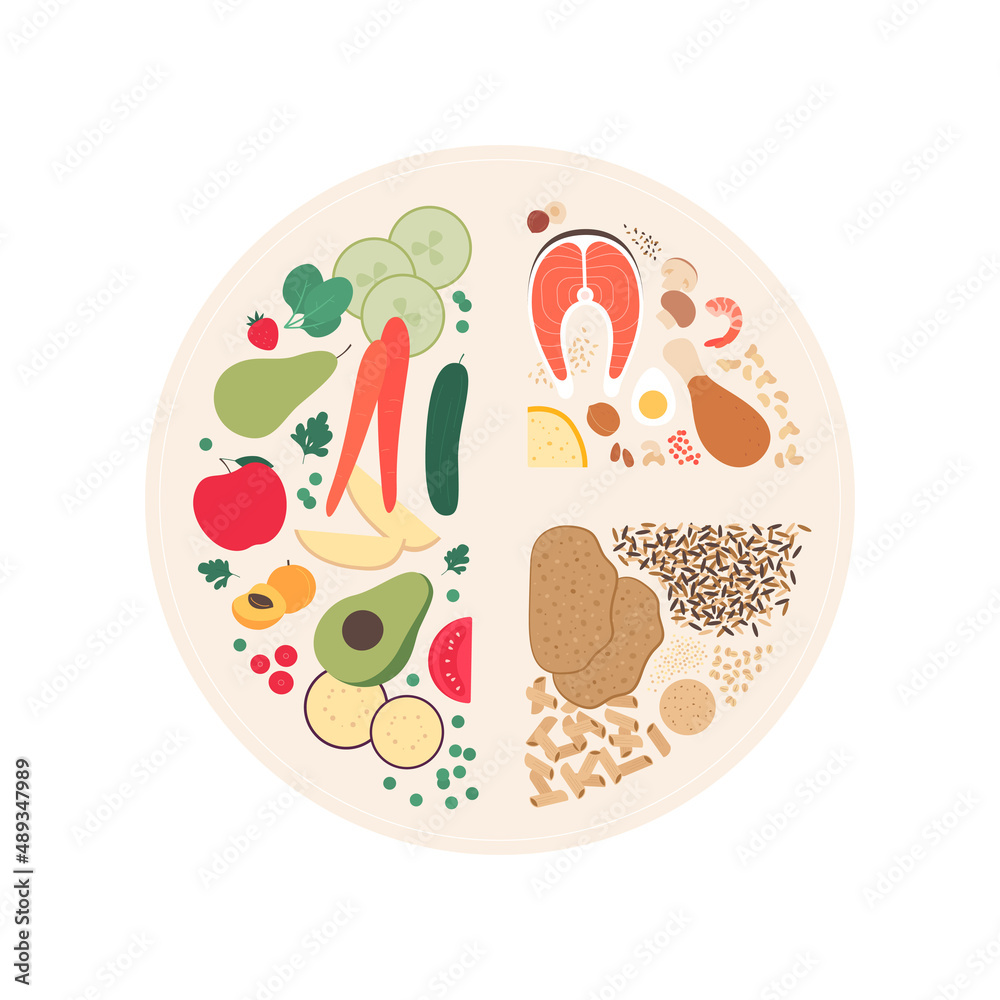 Healthy food plate guide concept. Vector flat modern illustration ...