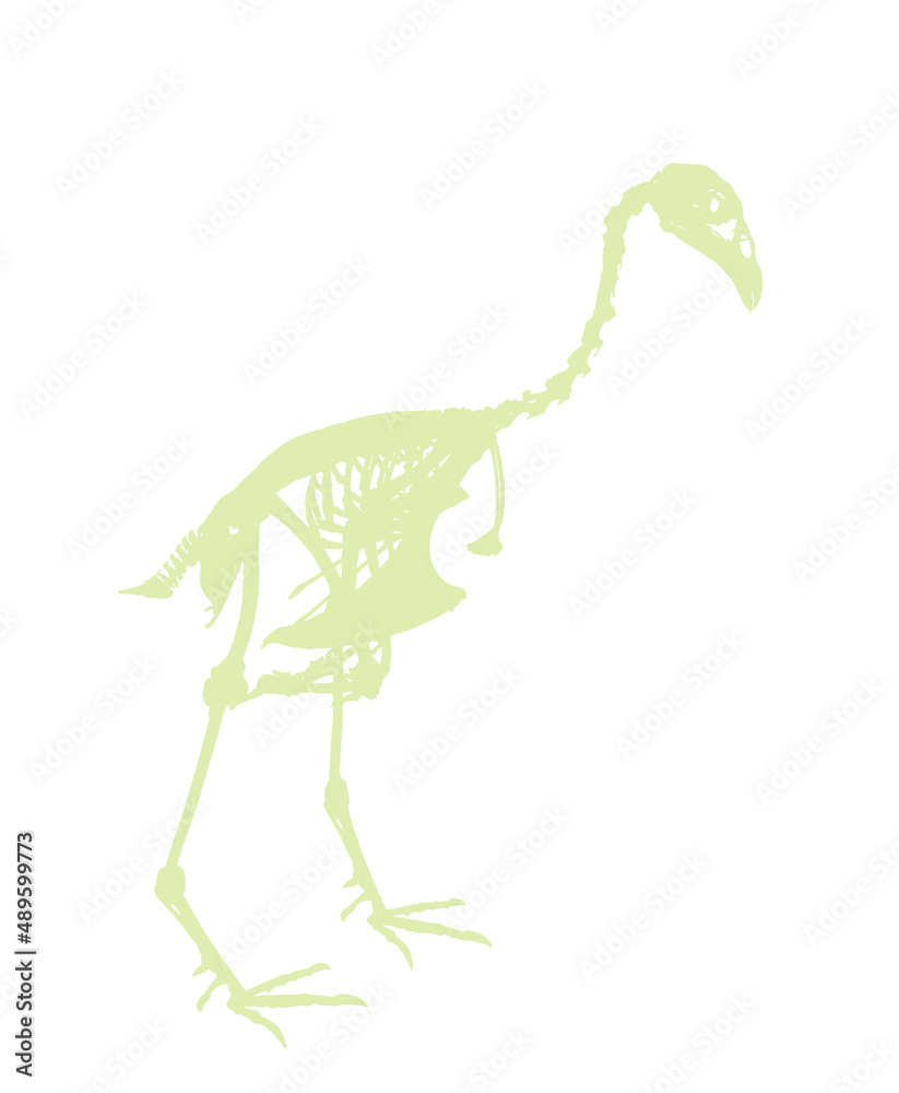 Sparrow hawk vector silhouette illustration isolated on white ...