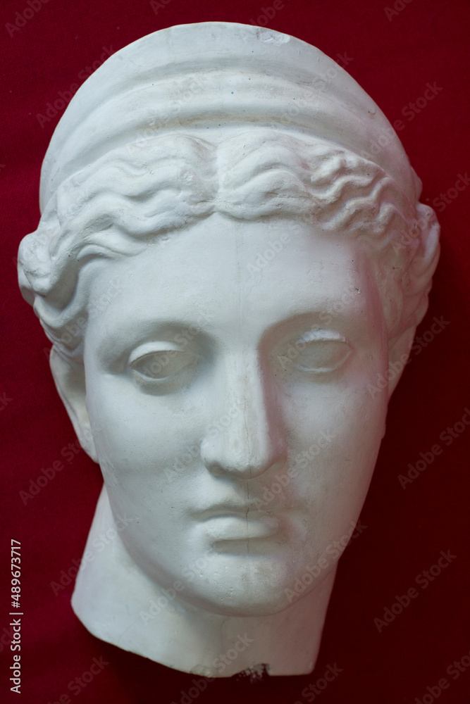 Head of Artemis sculpture, plaster model, cast, object for drawing. The ...