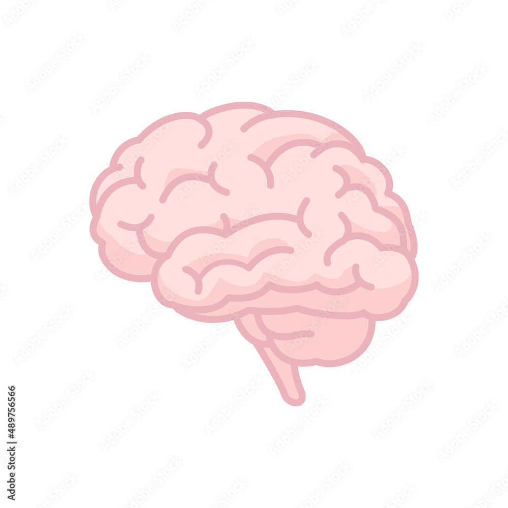 Human brain icon. Mind symbol Stock Vector | Adobe Stock
