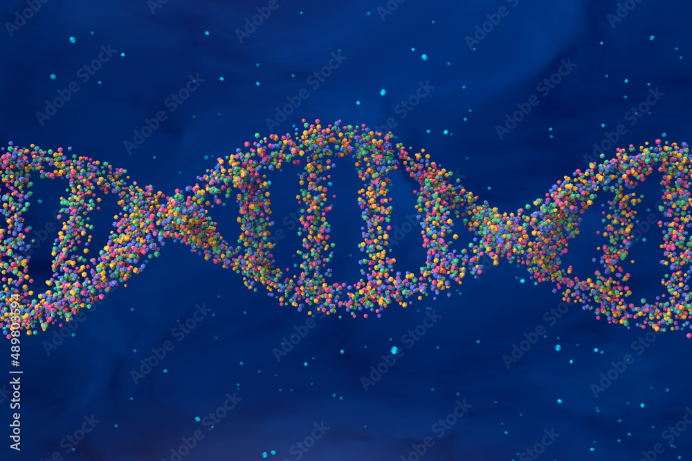 ACGT nucleotides in the human genome (DNA molecule - double helix ...