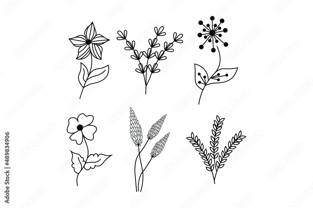flower outline, natural floral branch elements, vector line ...