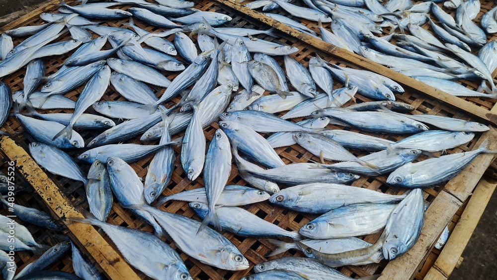 Dried fish process and salted fish process Stock Photo | Adobe Stock