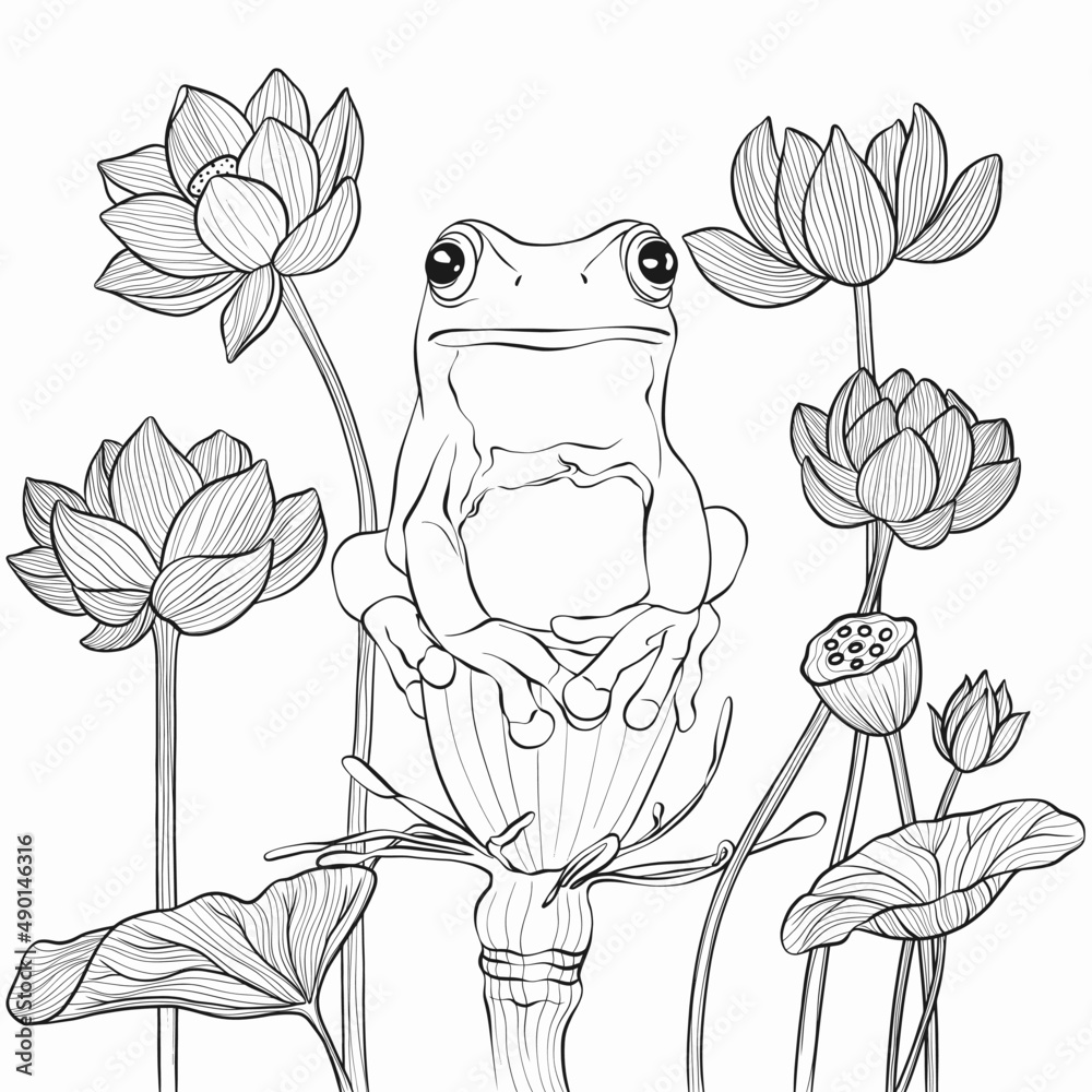 Zentangle stylized cartoon frog sitting among flowers. Sketch for adult ...