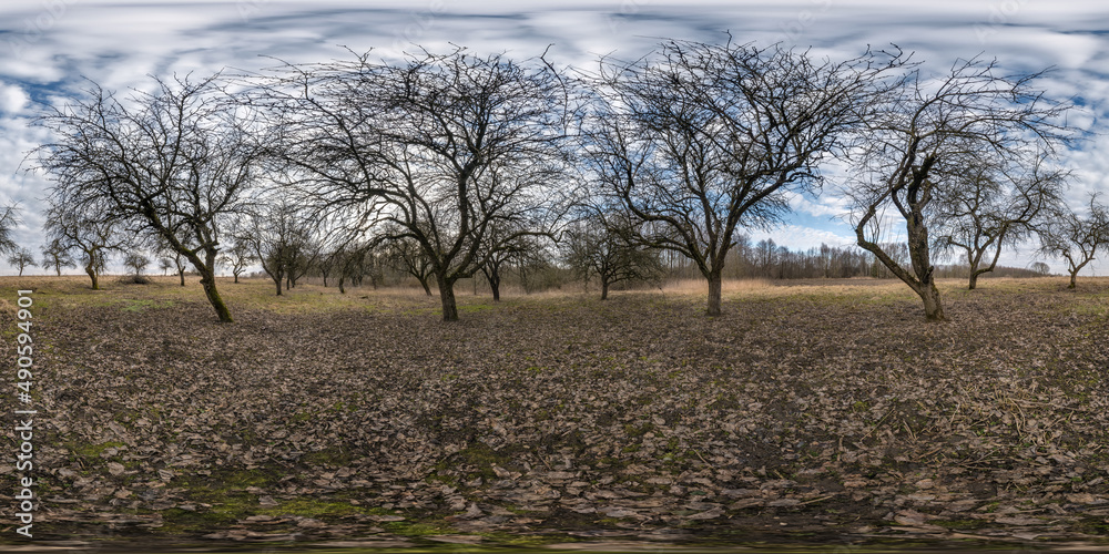 full seamless spherical panorama 360 degrees angle view in apple garden ...