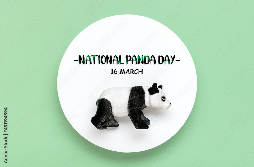 National Panda Day 16 March celebrate fluffiest, bamboo-munching bears ...