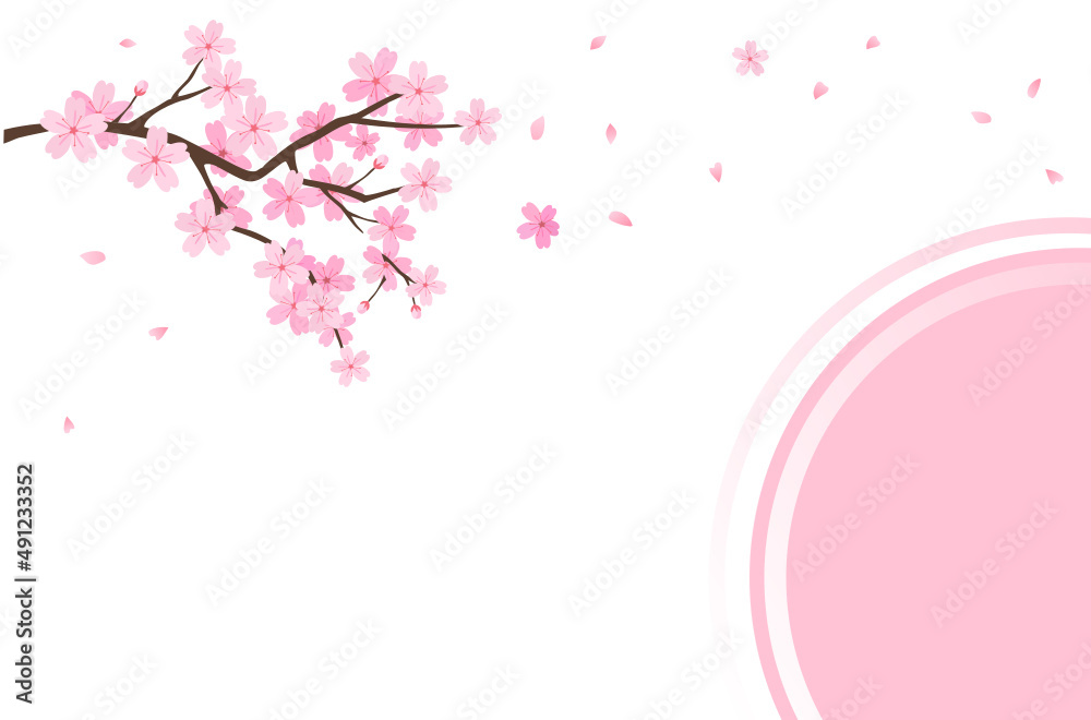 Cherry blossom Sakura flower and pink sign on white background vector ...