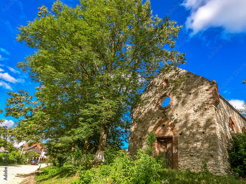 Medieval ruined castle under the green leaves of a tall tree. Stone ...