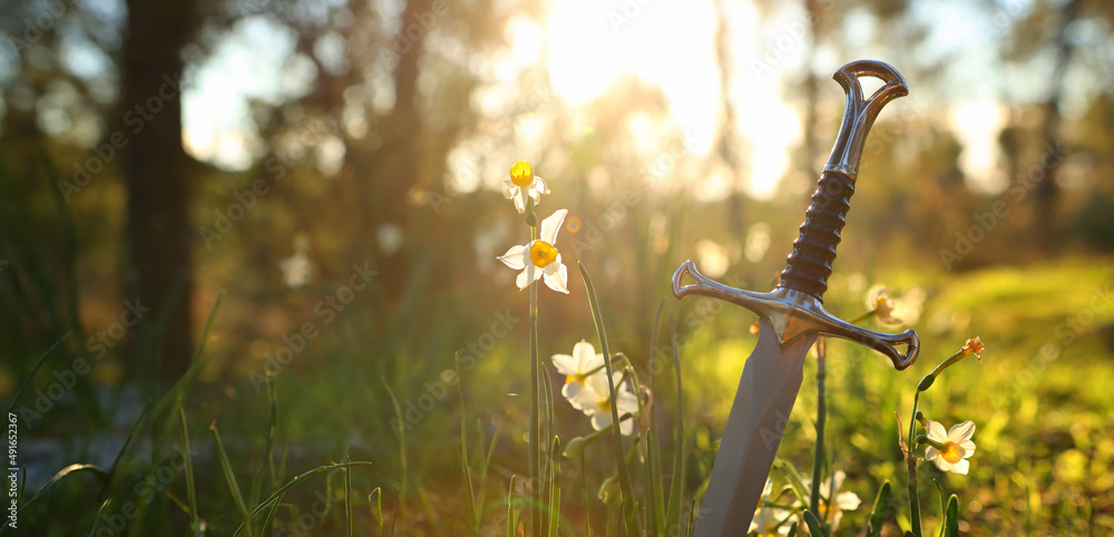 mysterious and magical photo of silver sword in the England woods and ...