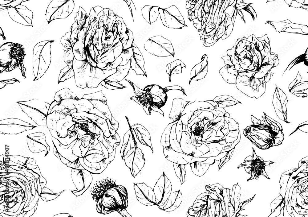 Patrón vectorizado de flores de línea negras sobre fondo blanco, Rosas ...