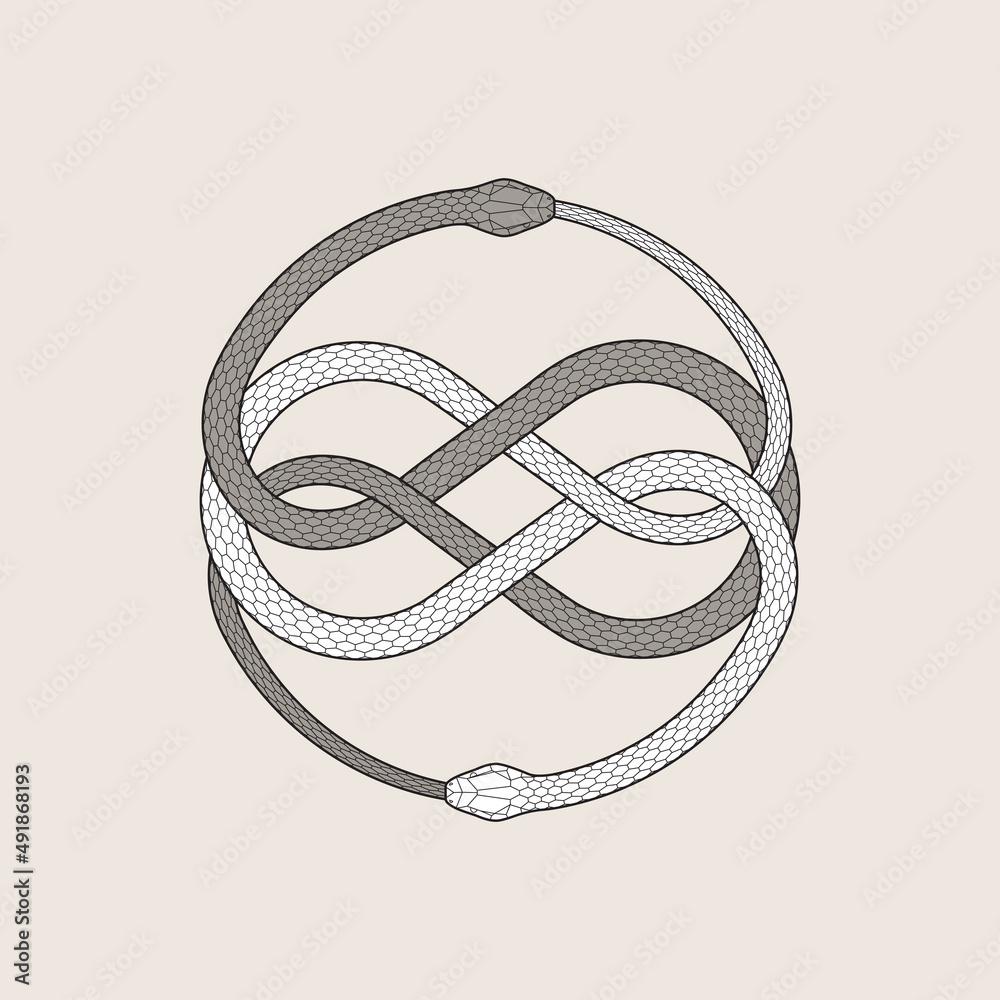 Ouroboros symbol. Two entwined snakes, serpent eating its own tale ...