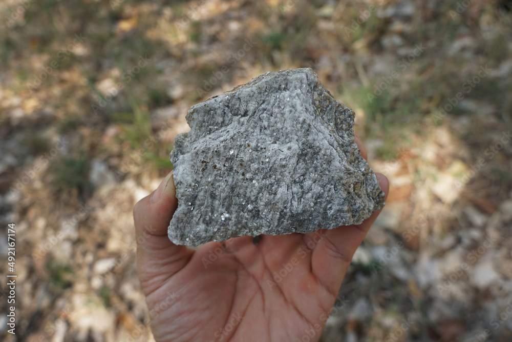 Gneiss specimen in a hand. Foliated metamorphic rock is identified by ...